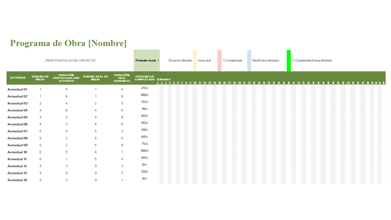 Descarga el Programa de Obra en Excel - Actualizado [2025]
