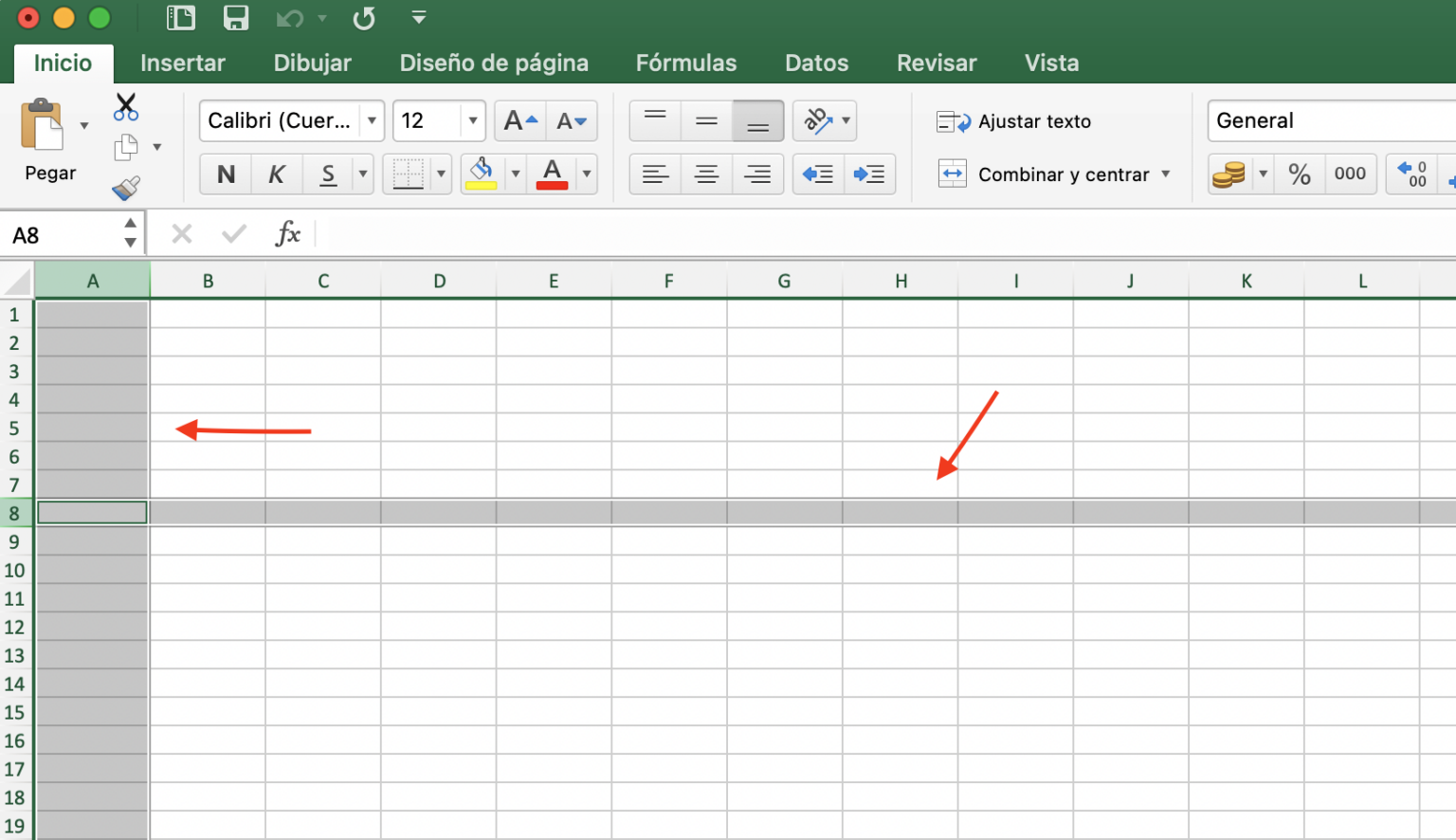 Conoce todas las partes de Excel en nuestra guía del 2024